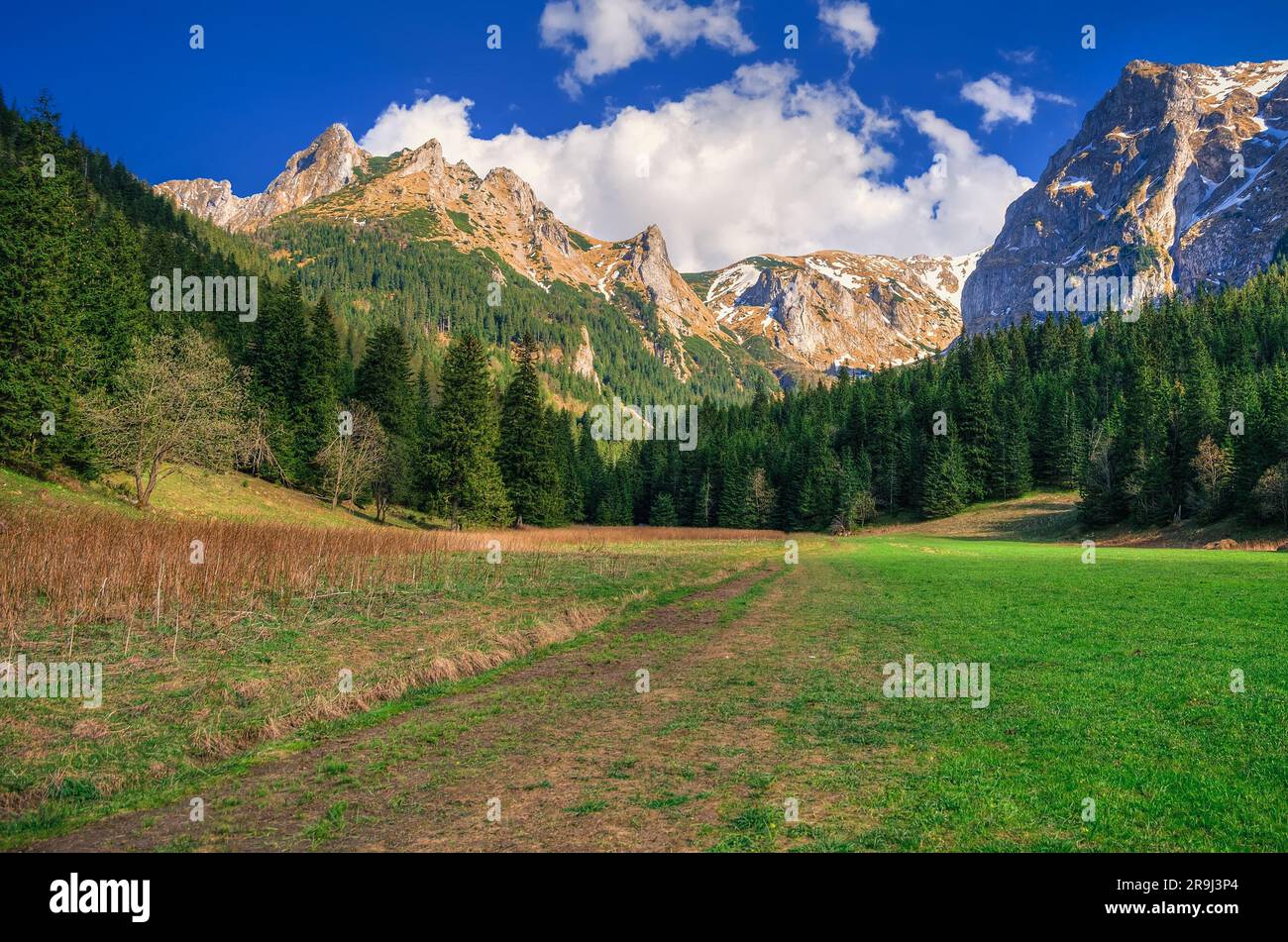 Spring mountain landscape in Polish mountains. Small Valley Meadows in ...