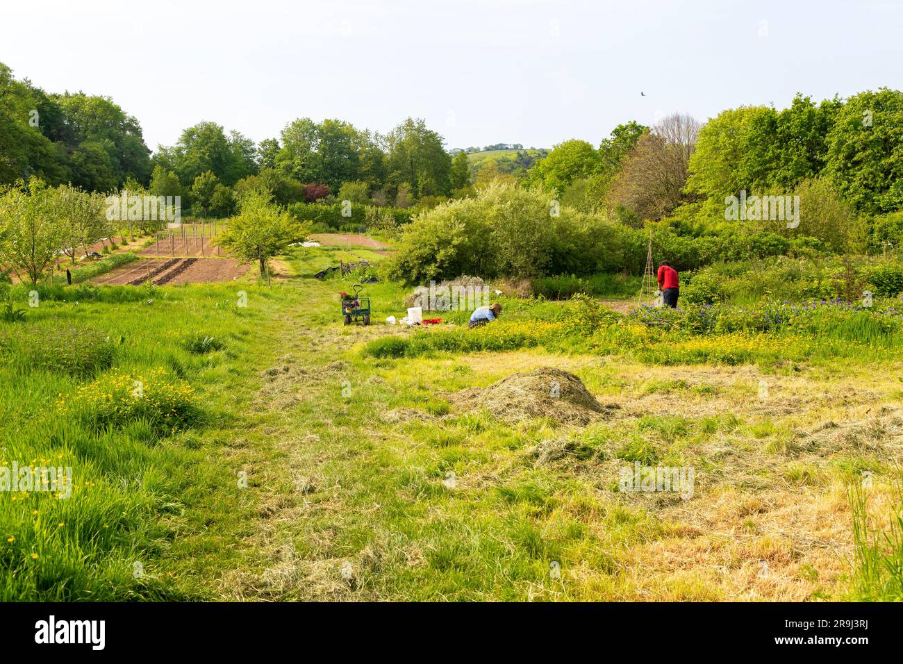 Henri’s Field growing area, Schumacher College, Dartington Hall estate ...