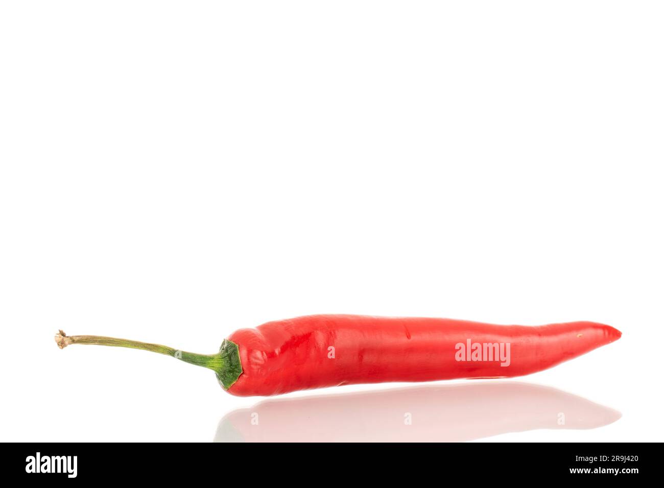 One pod of hot red pepper, macro, isolated on white background Stock ...