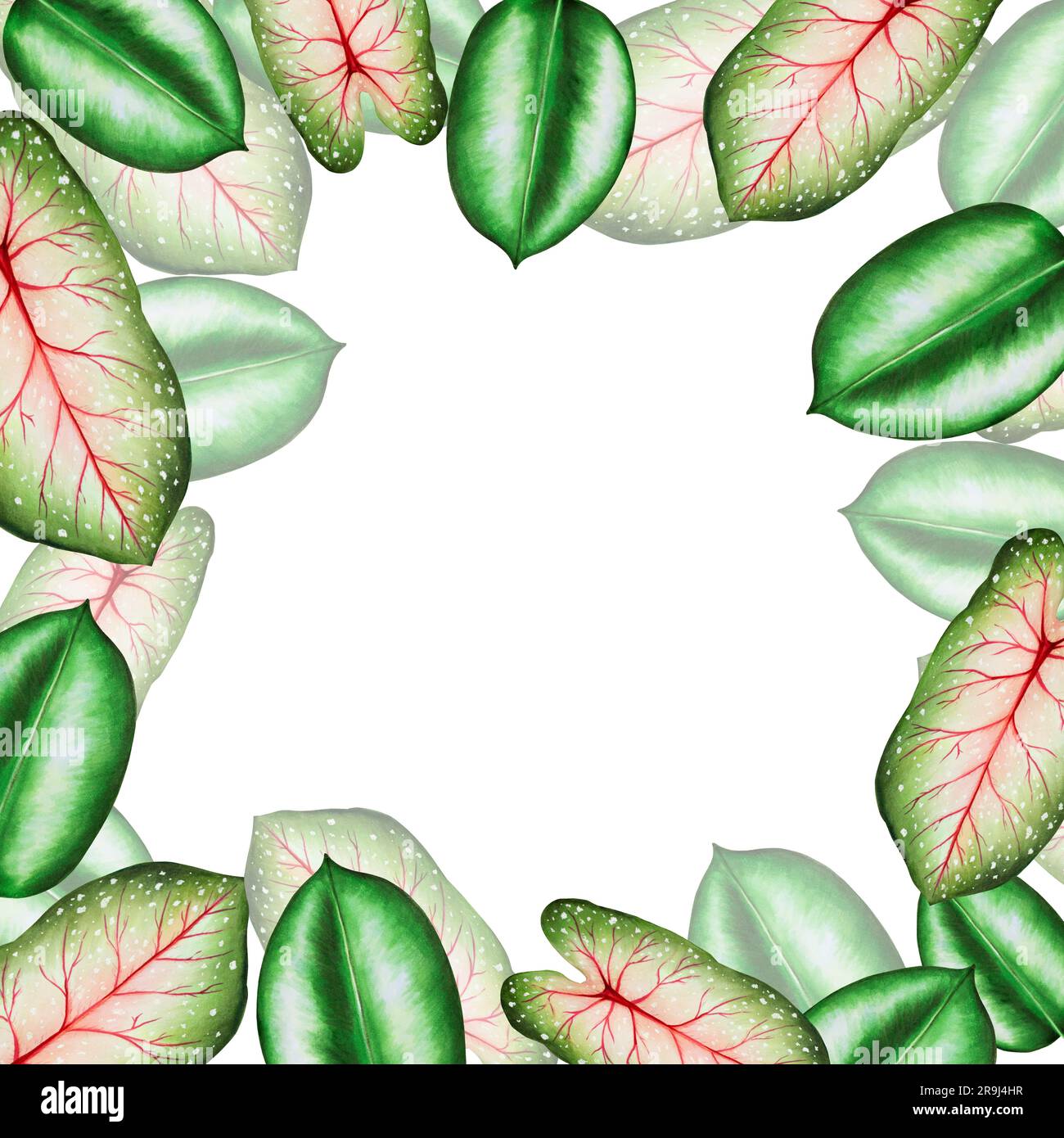 Watercolor frame with realistic tropical leafs. Illustration of ...