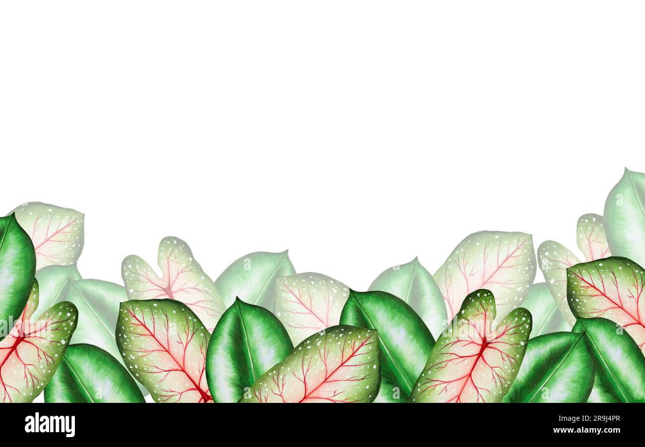 Watercolor seamless banner with realistic tropical leafs. Illustration ...