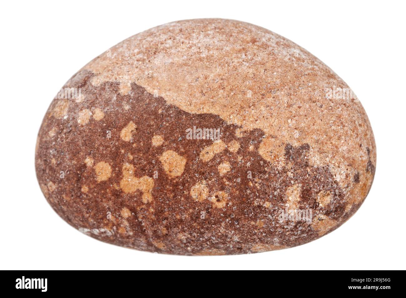 Top view of single red pebble isolated on white background Stock Photo ...