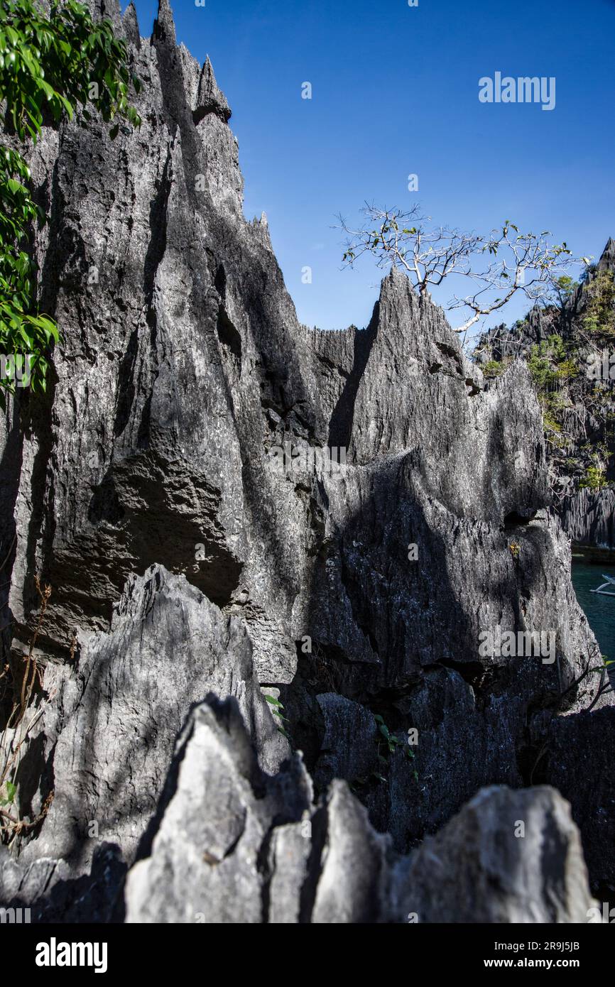 Coron islands, Palawan, Philippines, Asia Stock Photo - Alamy
