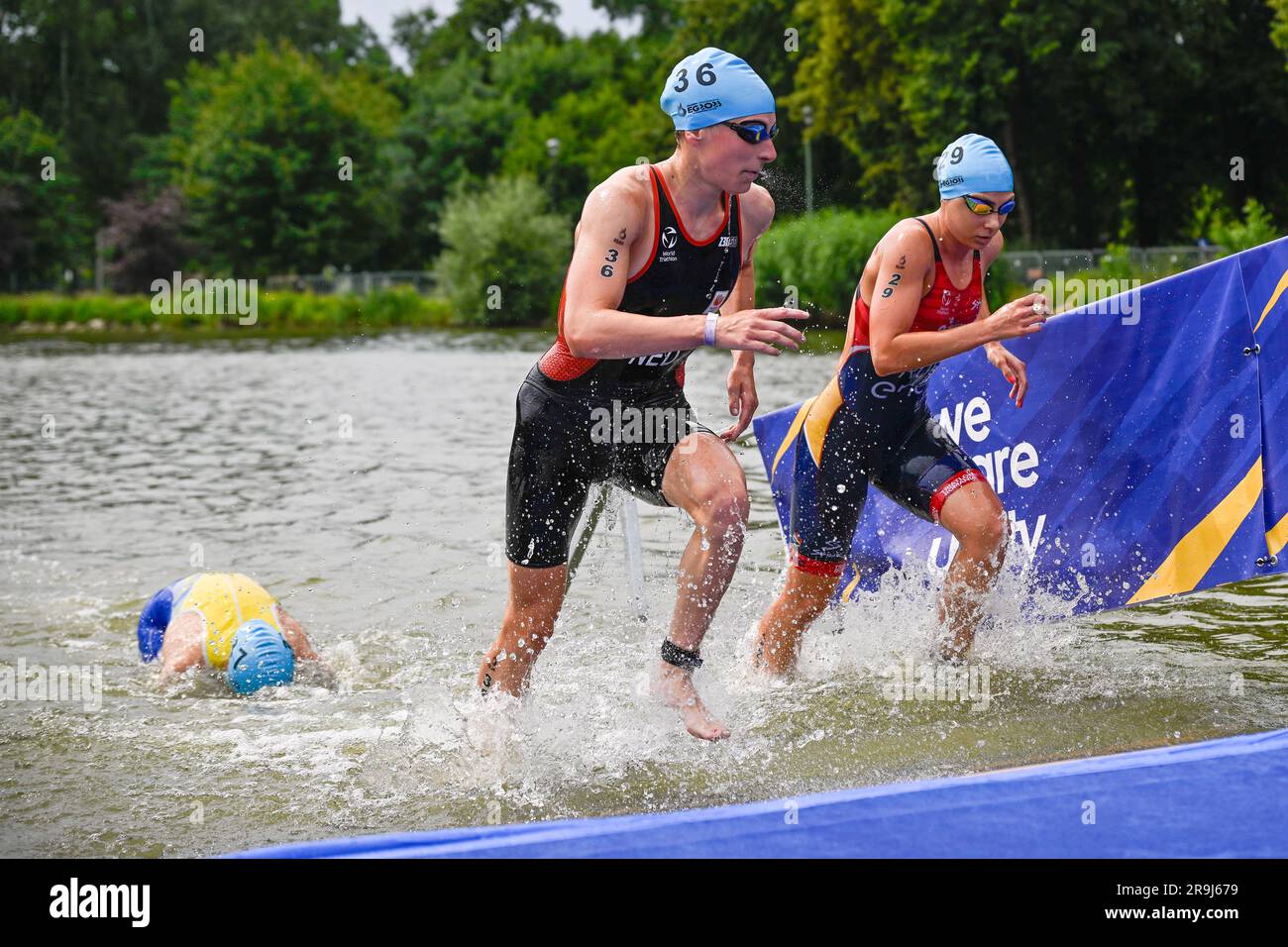 Marit van den berg hi-res stock photography and images - Alamy