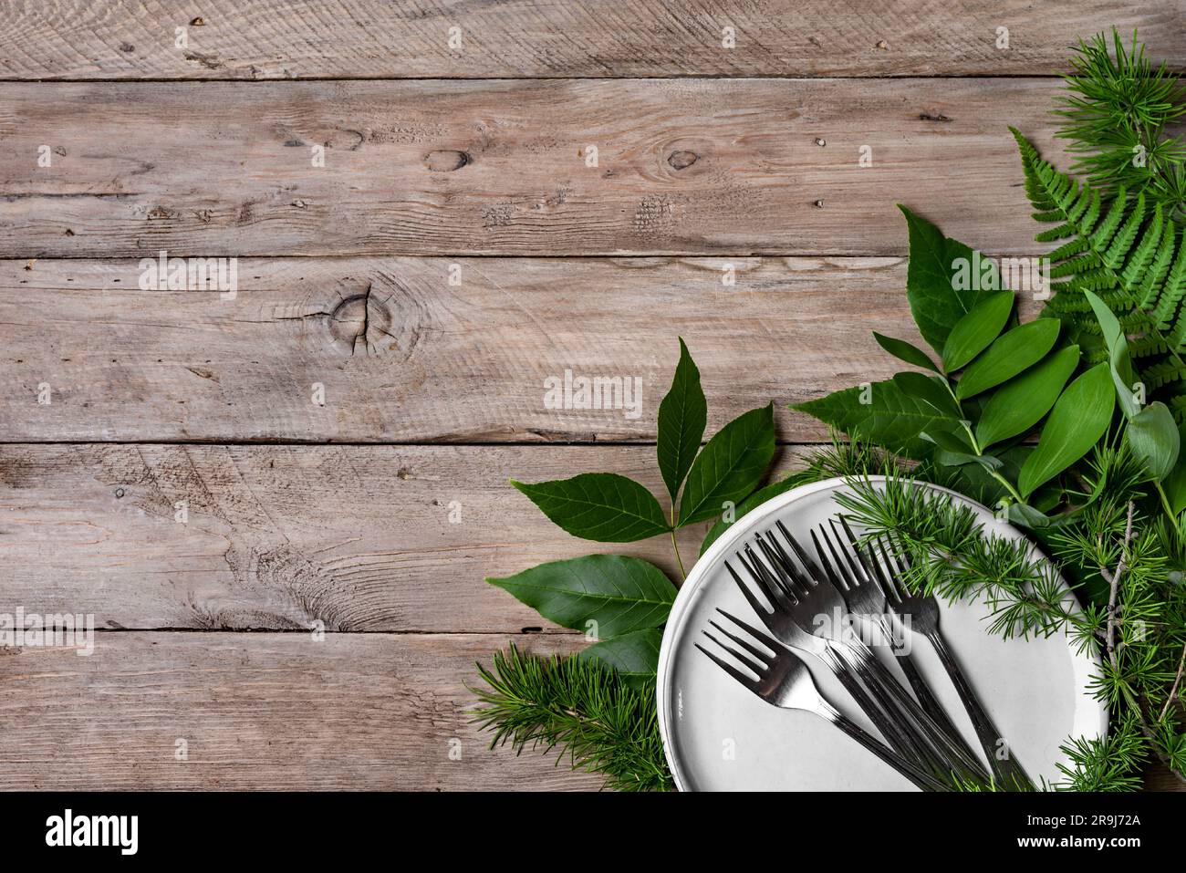 Clean plates and utensils and green plant leaves on wooden background ...