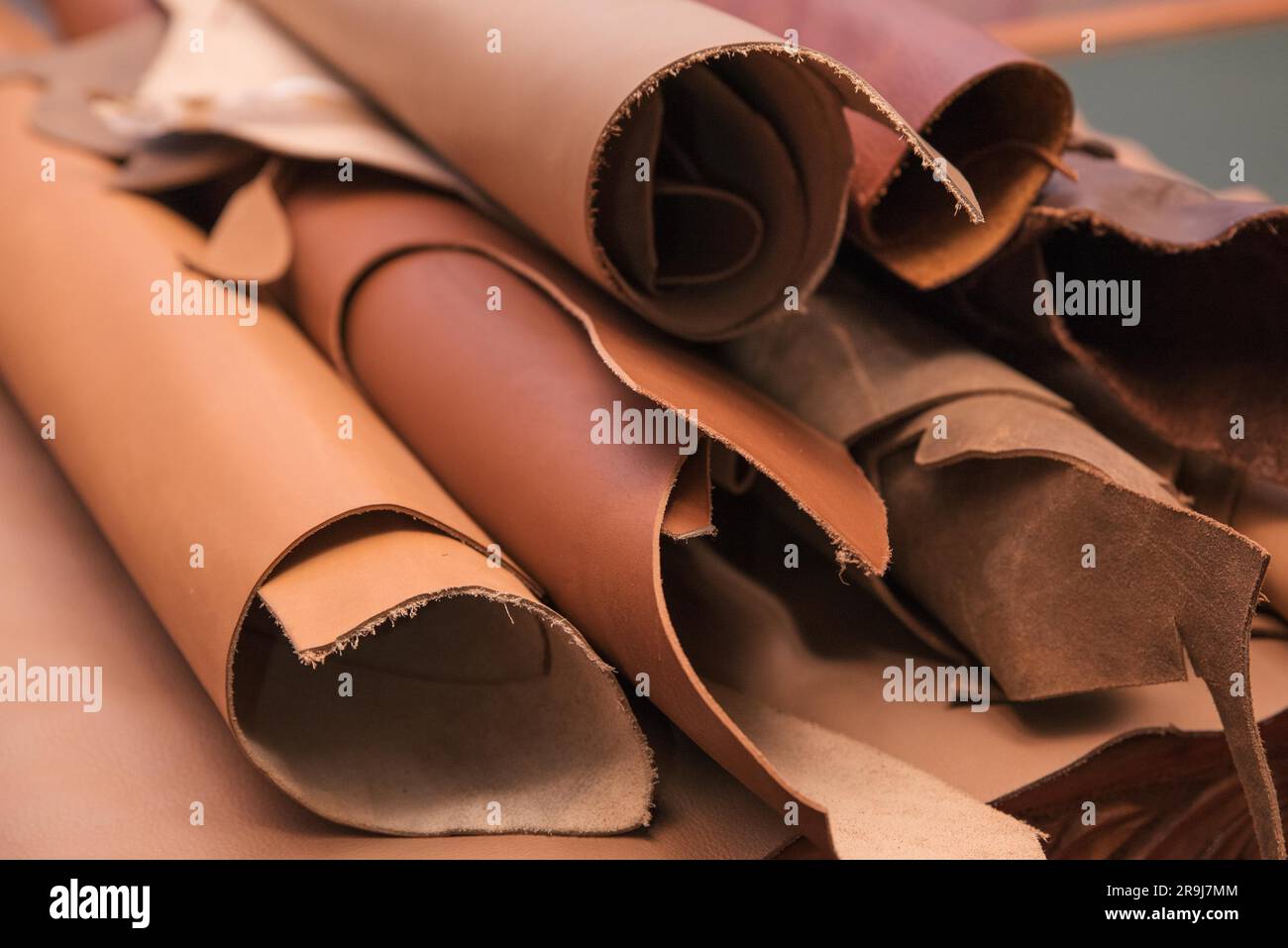 An array of leather fabric samples in different shades neatly placed on ...