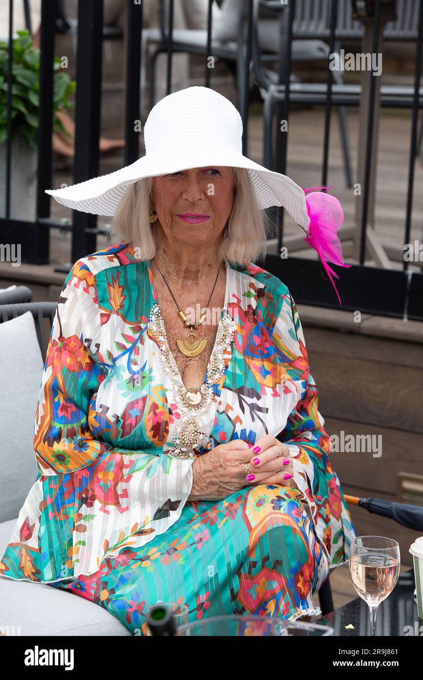 Henley-on-Thames, Oxfordshire, UK. 27th June, 2023. Guests enjoying ...