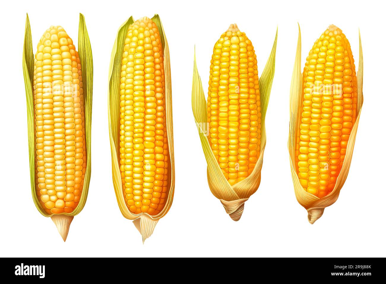 set corn in cartoon style for video game isolated on white background ...