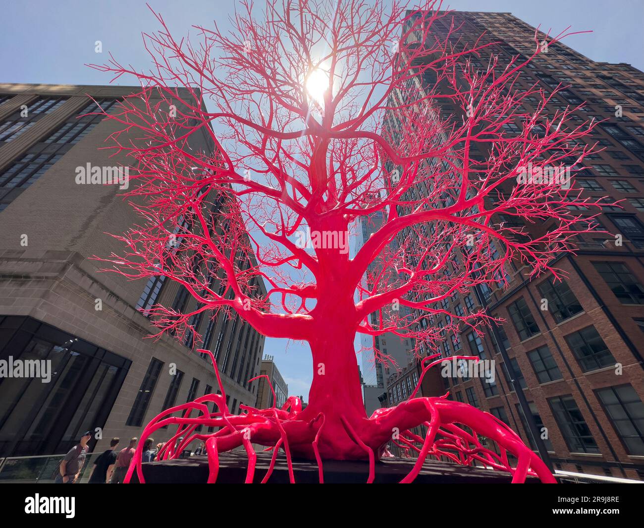 New York, New York, USA. 27th May, 2023. The "Old Tree" sculpture by ...