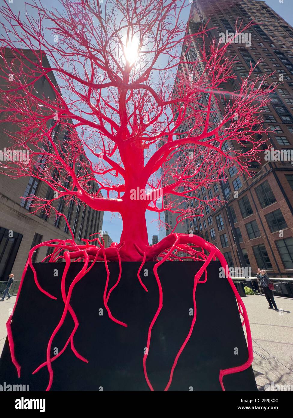 New York, New York, USA. 27th May, 2023. The "Old Tree" sculpture by ...