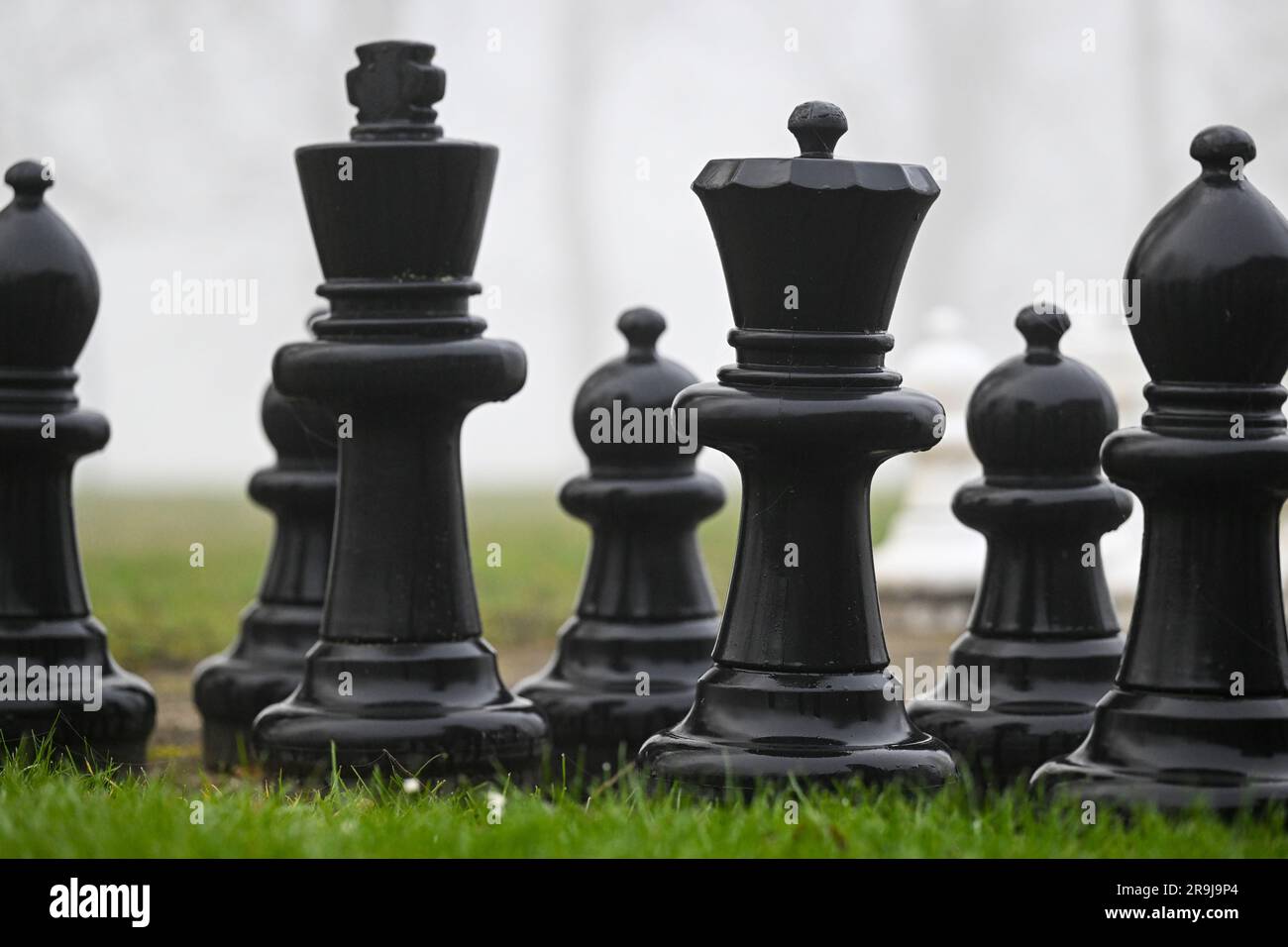 A field of chess pieces standing in grass side by side, creating a ...