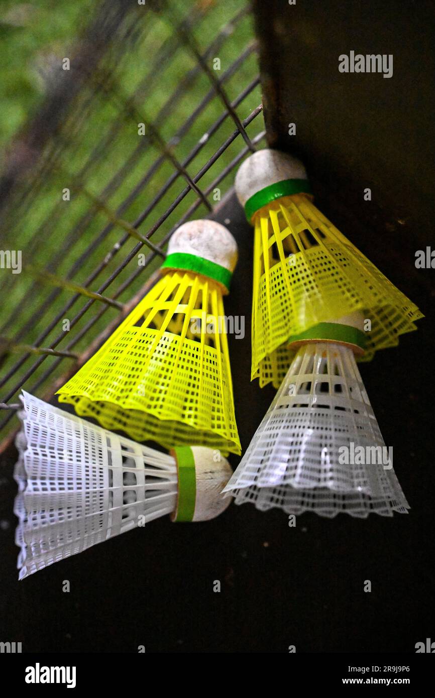 A closeup of badminton rackets, displayed side by side in a storage ...