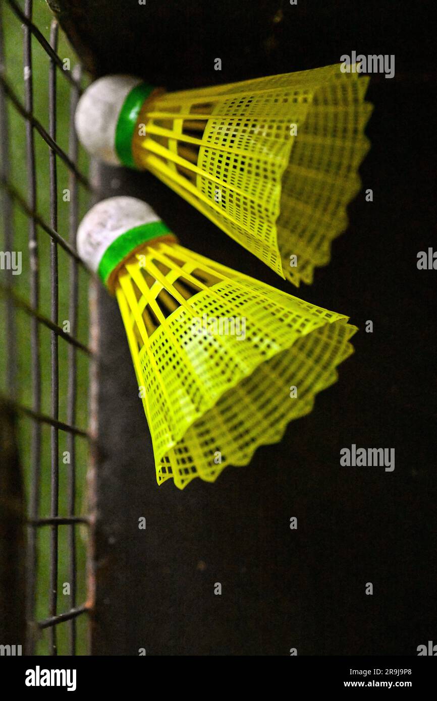 A pair of badminton rackets, displayed side by side in a storage rack ...