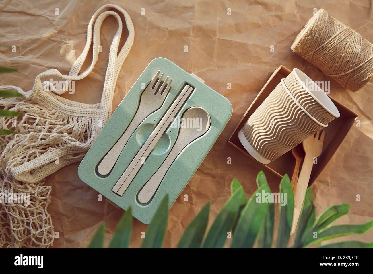 Eco-friendly disposable tableware cutlery, cardboard cups from natural ...