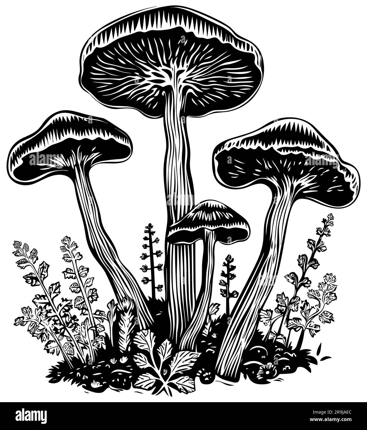 Black and white mushroom art Black and White Stock Photos & Images - Alamy