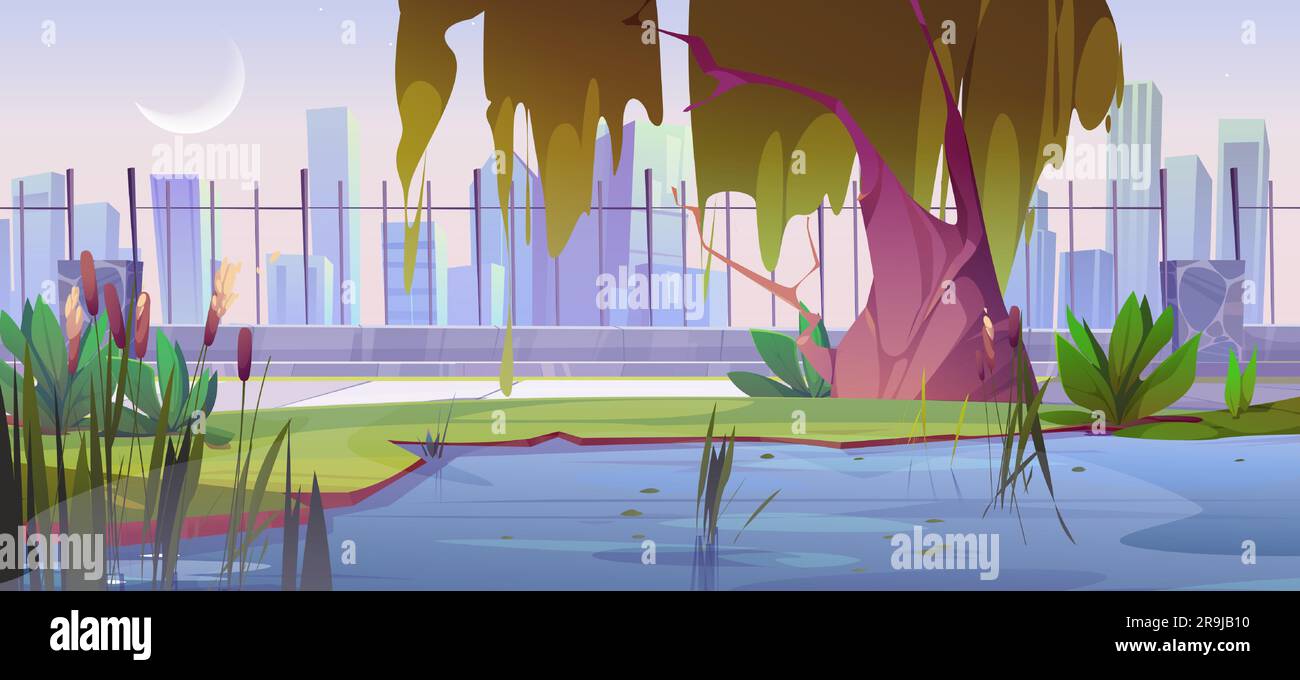 Swamp in early morning city park with reed and grass cartoon vector ...