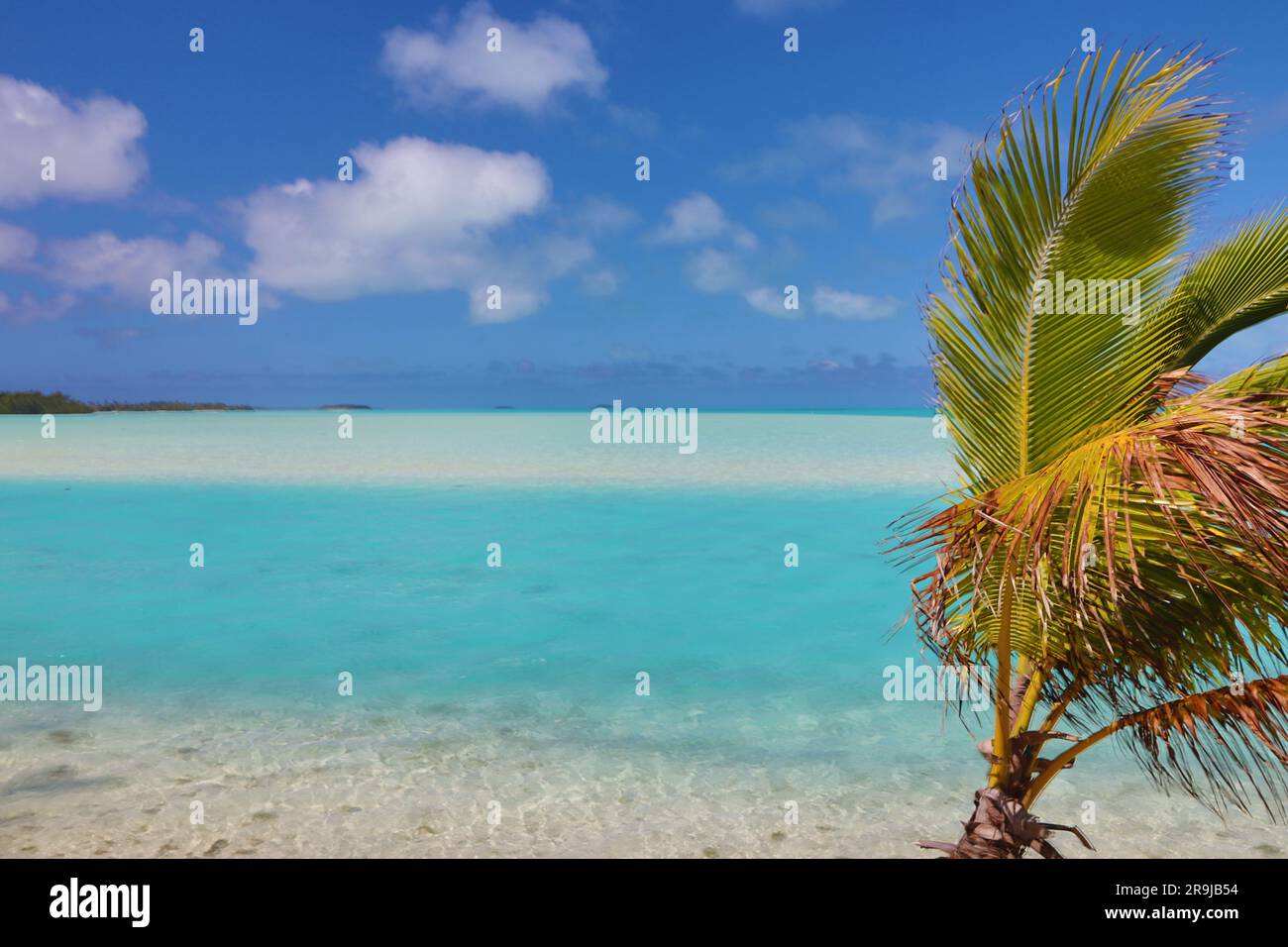 Cook islands maori hi-res stock photography and images - Alamy