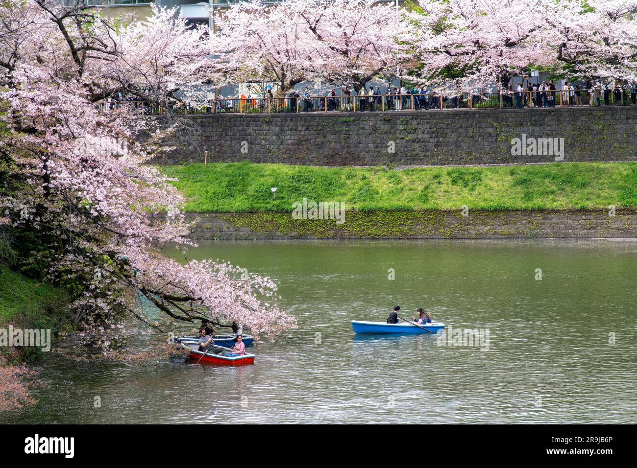 Tokyo, Japan-April 2023; People in rowing boats in water of Kudanzaka ...