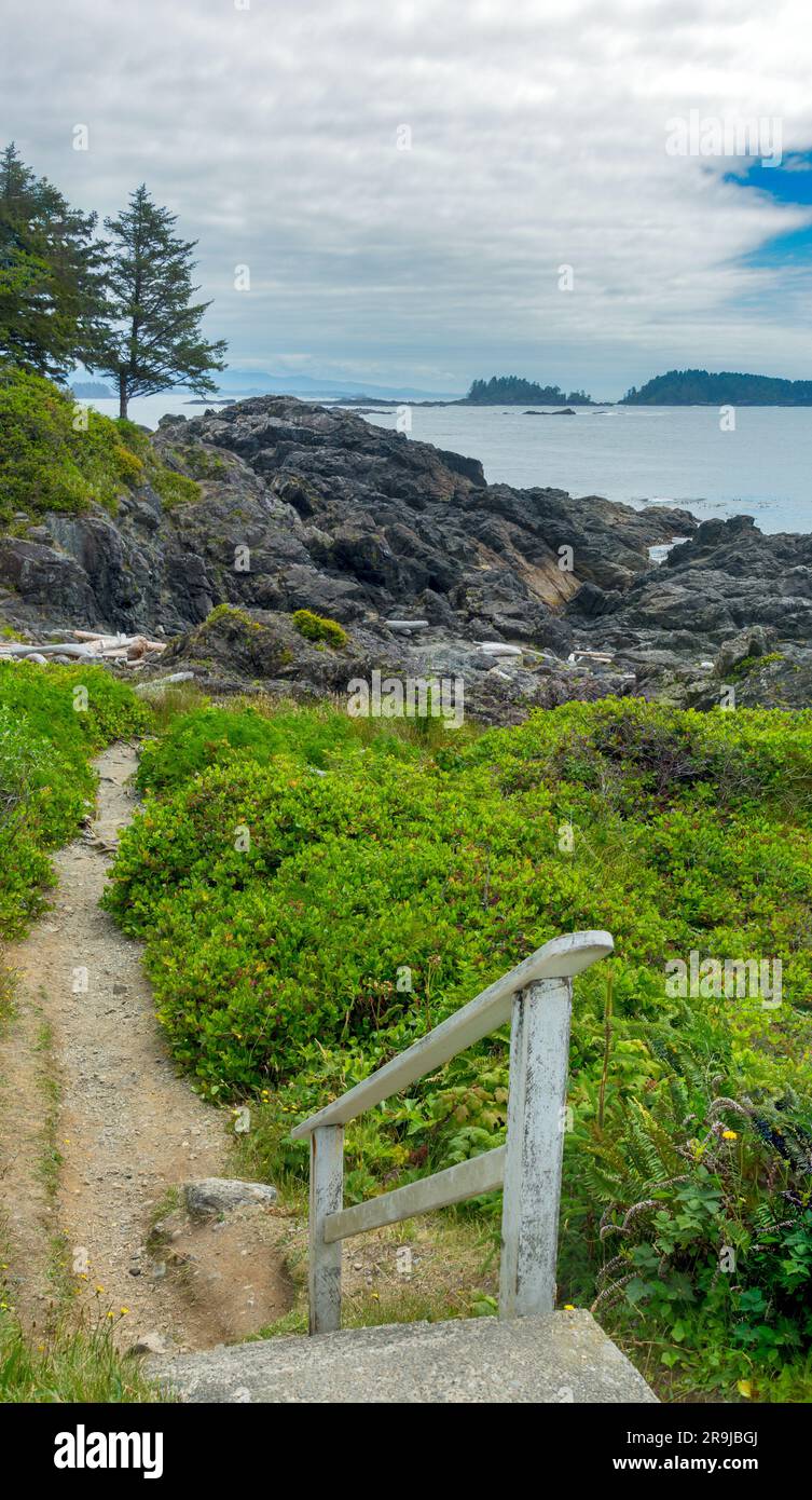 Steps and pathway to the water of Pacivic ocean Stock Photo - Alamy