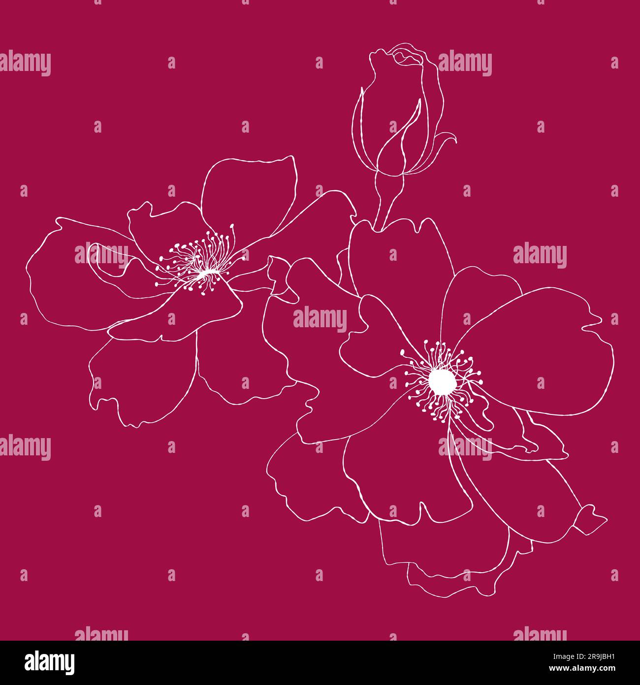 Blooming flowers with bud. Outline drawing white line. Vector ...
