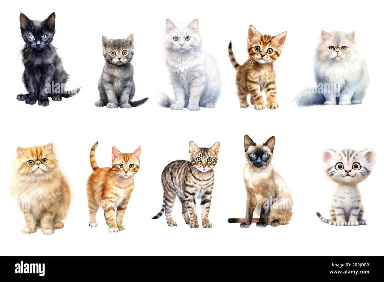 Different cat breeds Stock Vector Images - Alamy
