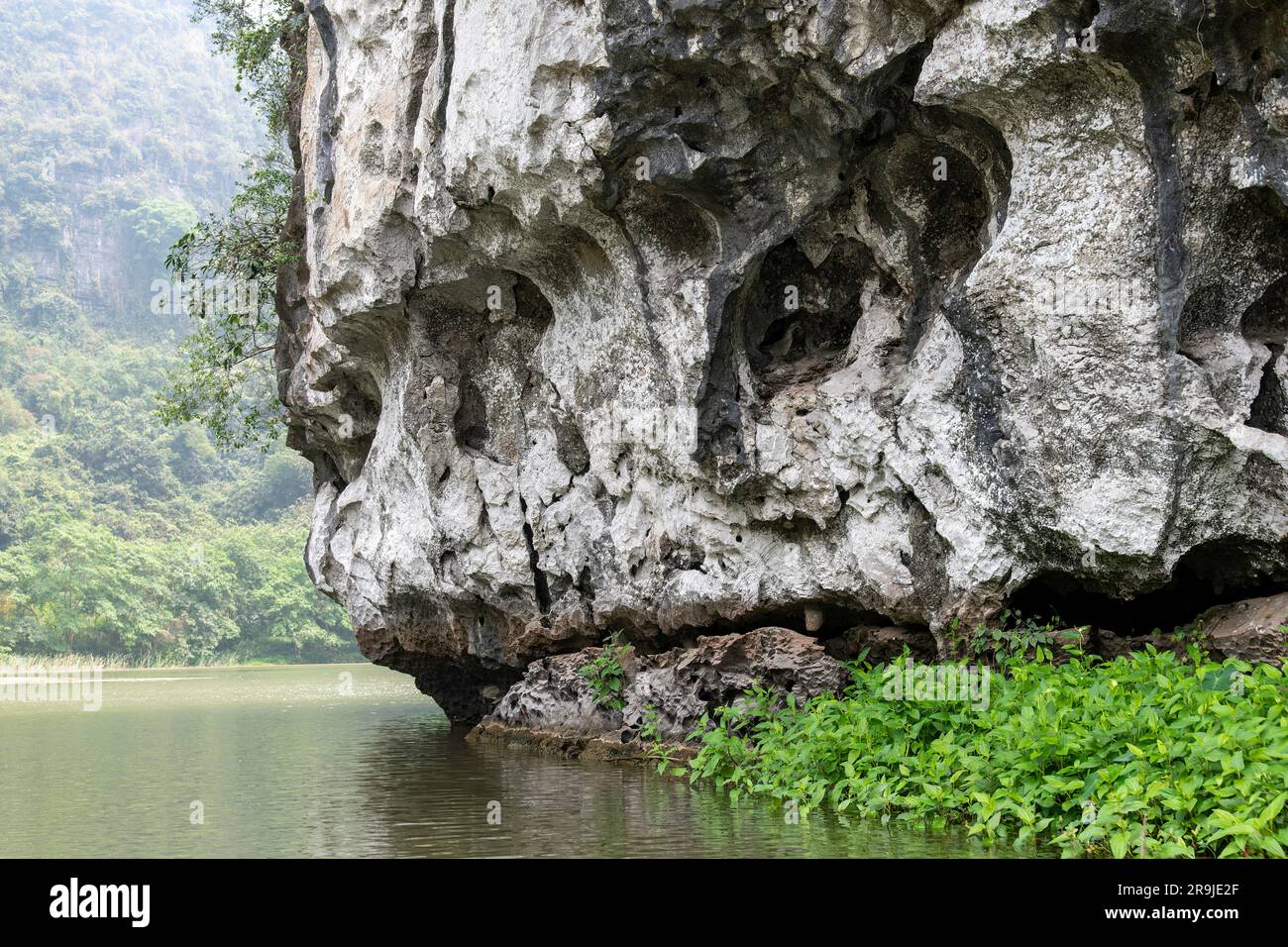 Close up view of the forested limestone rock formation in the Red River Delta of Ninh Binh ...
