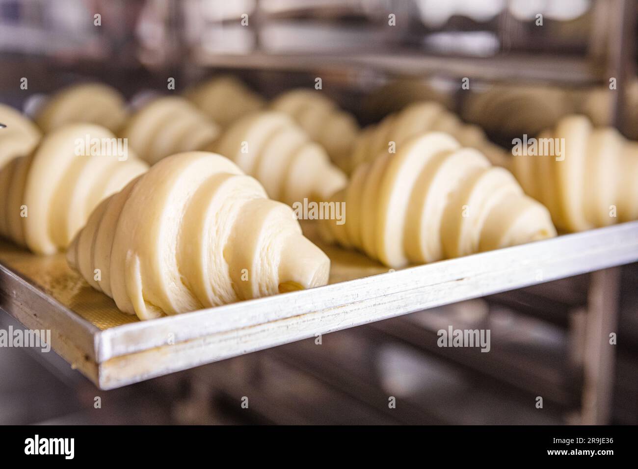 Oven-ready proofed croissant dough Stock Photo - Alamy