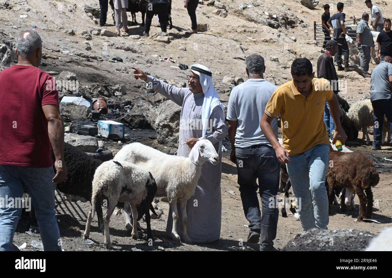 Bethlehem, West Bank. 27th June, 2023. Palestinians buy sheep and goats ...