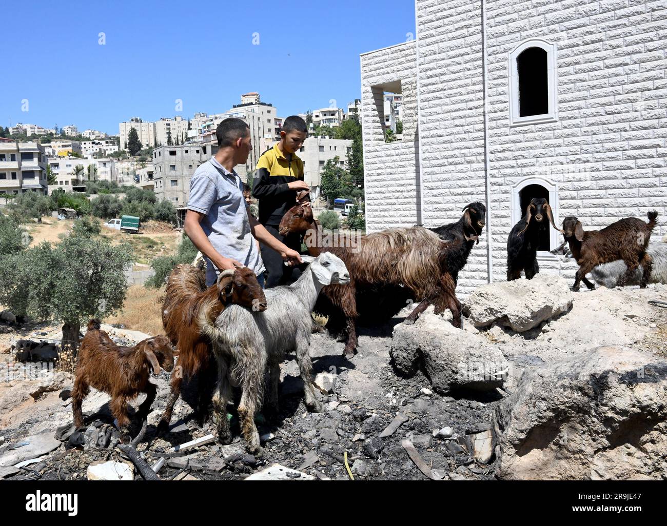 Festival of sacrifice israel hi-res stock photography and images - Alamy