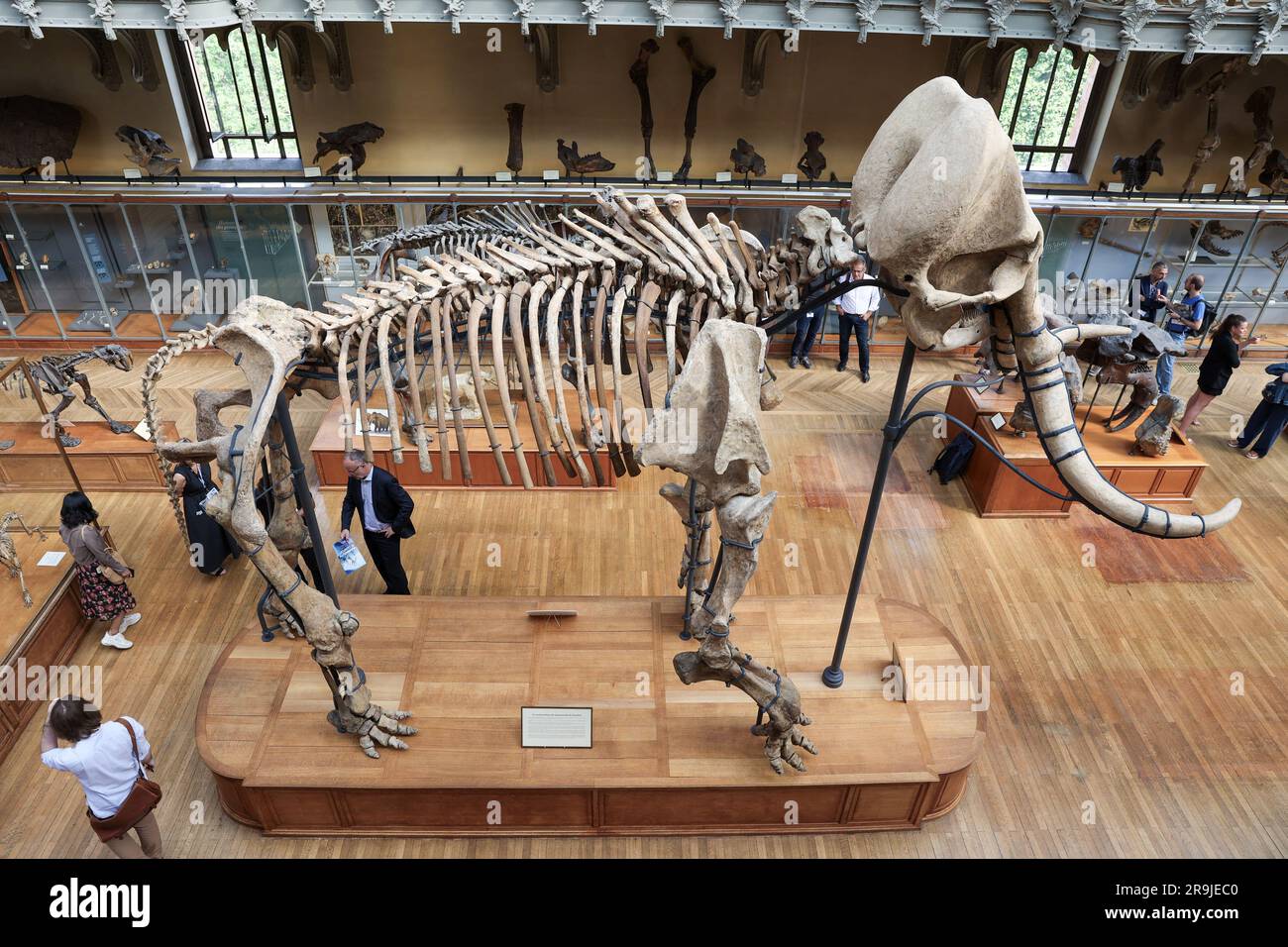 Paris, France. 27th June, 2023. Unveiling of the restored Durfort ...