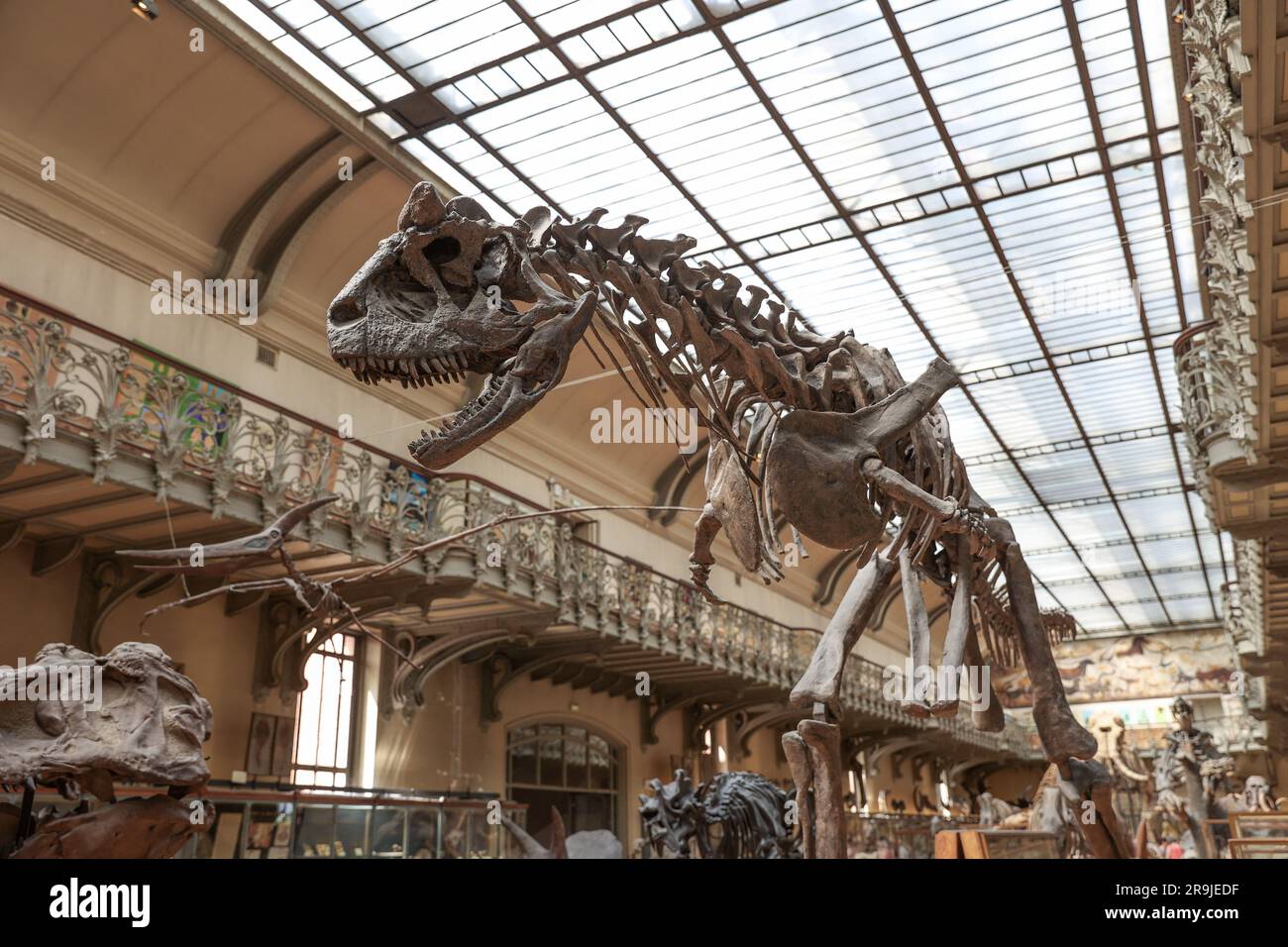 Paris, France. 27th June, 2023. Fossil of dinosaurs in the gallery of ...