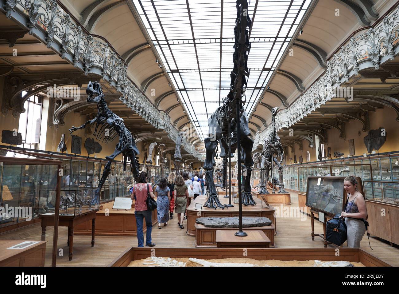 Paris, France. 27th June, 2023. Fossil of dinosaurs in the gallery of ...