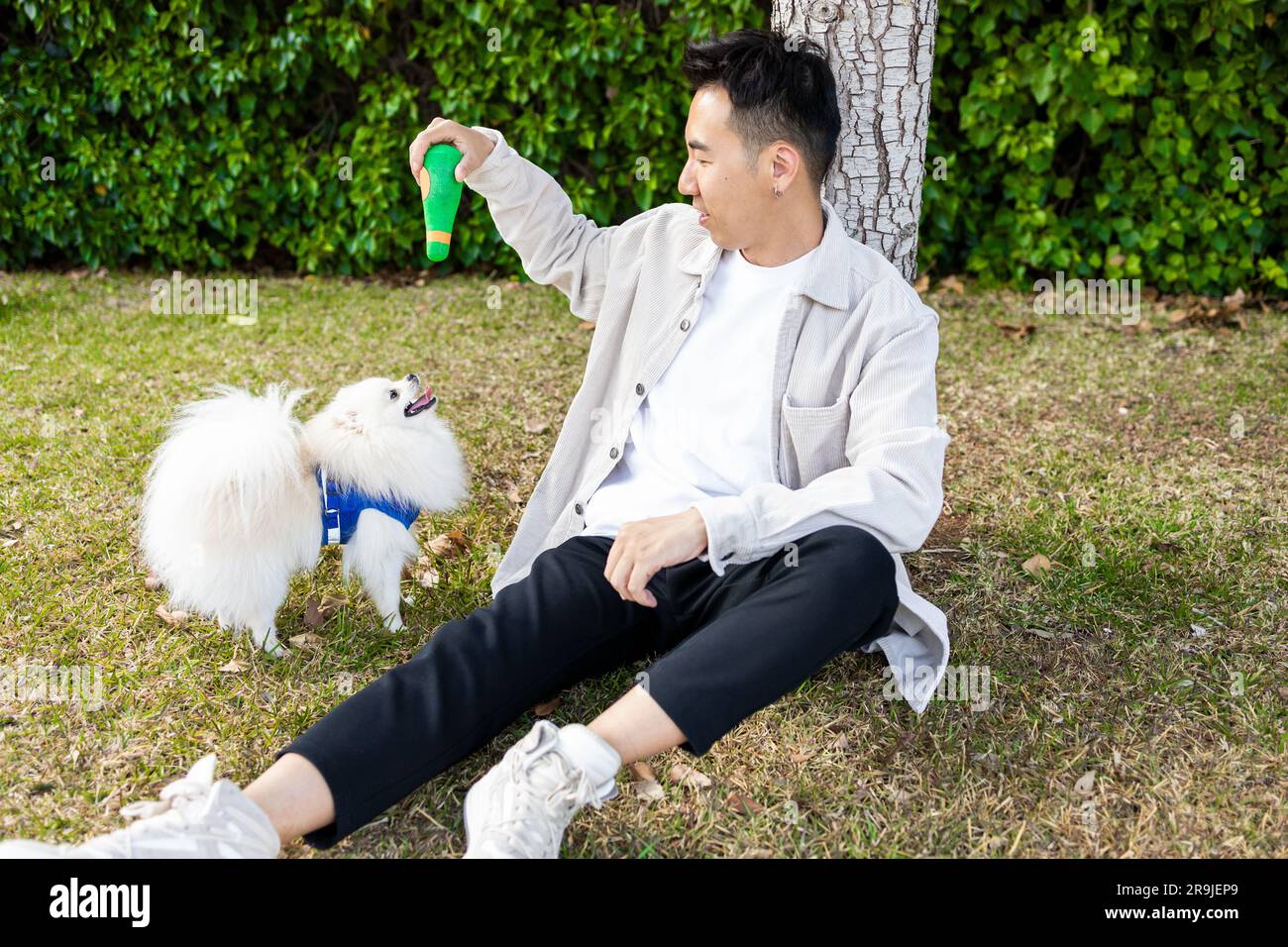 Asian man sitting on green grass against tree and suggesting toy to ...