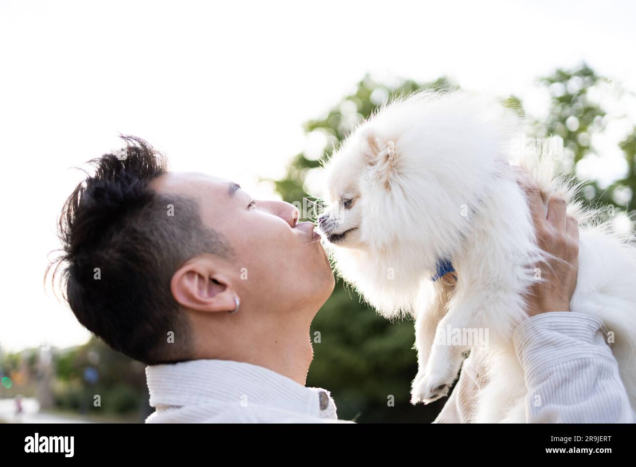 Side view of Asian male holding and kissing cute Spitz with white fur ...