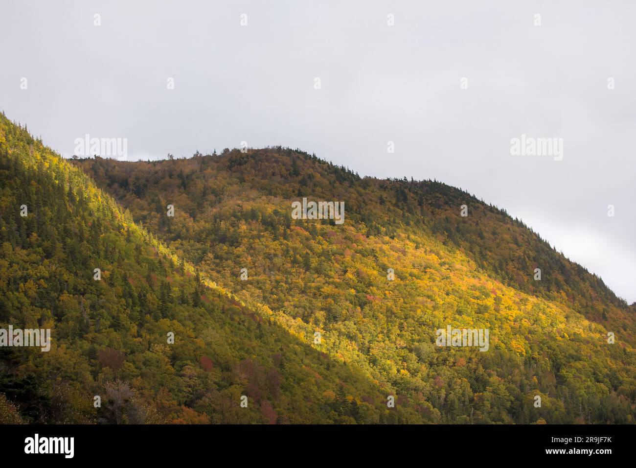 CAPE BRETON, NOVA SCOTIA. Autumn colors as sun rays fall on mountains ...