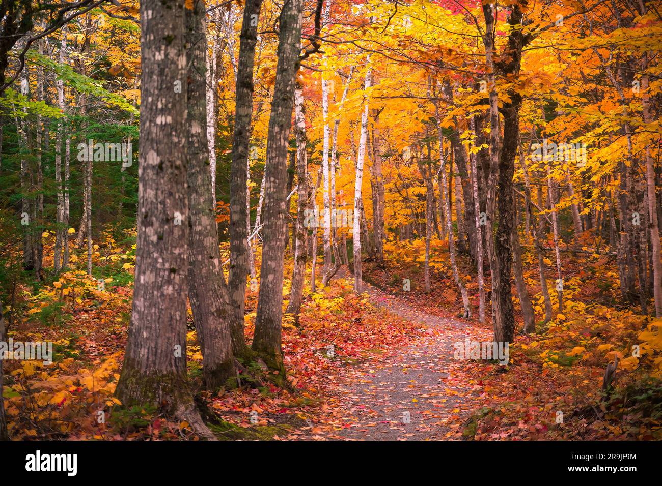 Cape breton highlands national park hi-res stock photography and images ...