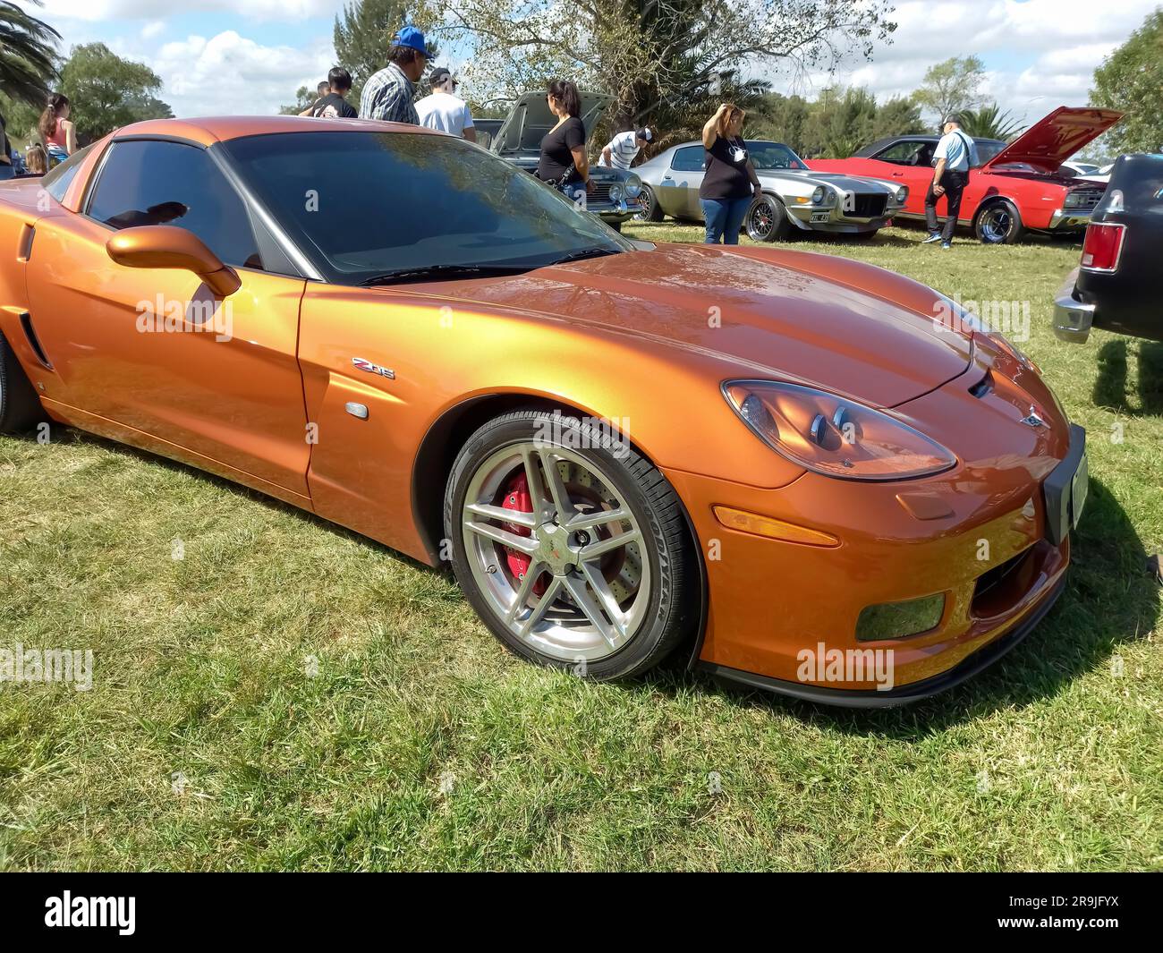 Old golden metallic sport Chevrolet Corvette Z06 coupe 2006 by GM in ...