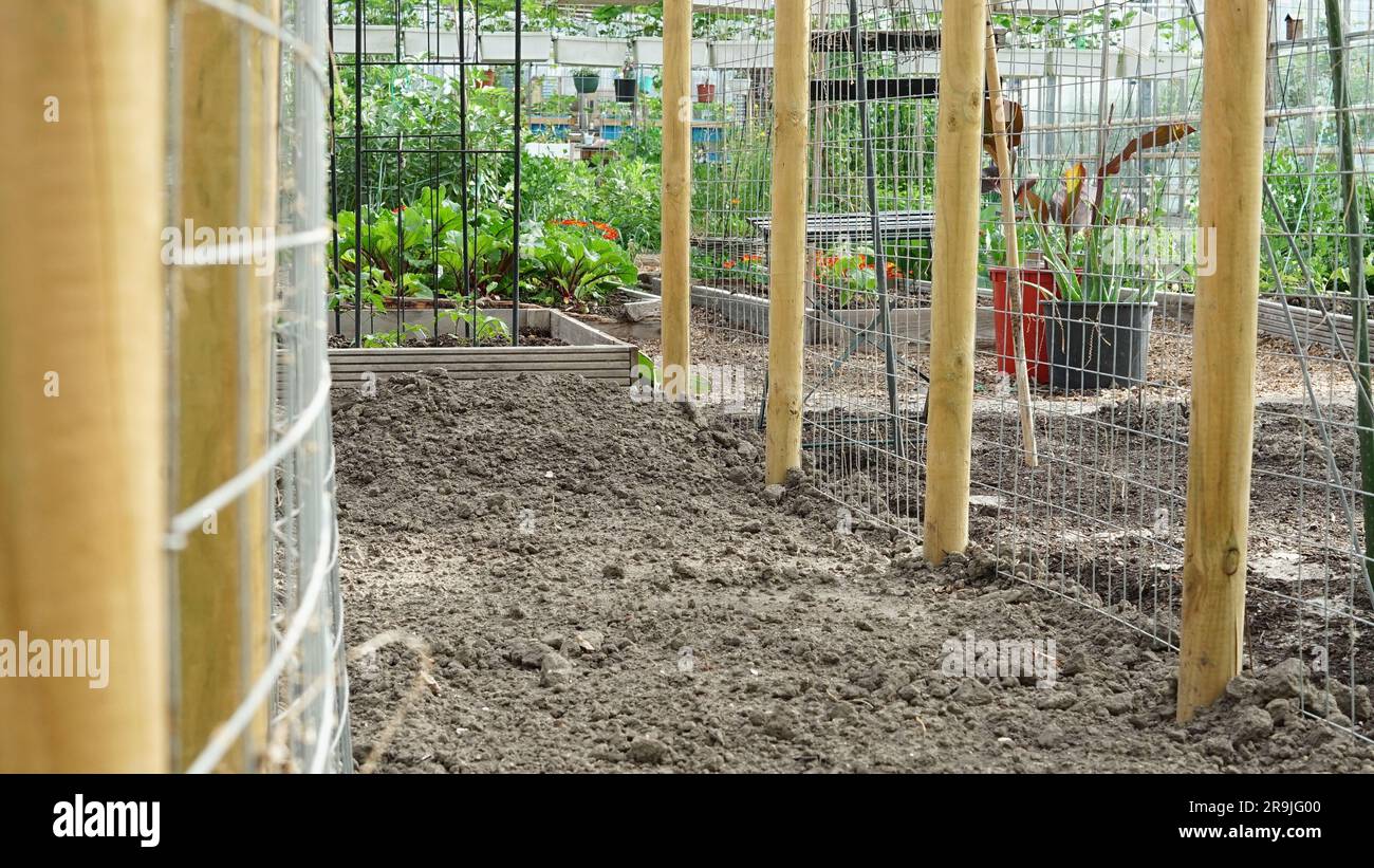 An empty garden in a fenced enclosure with a number of wooden poles for ...