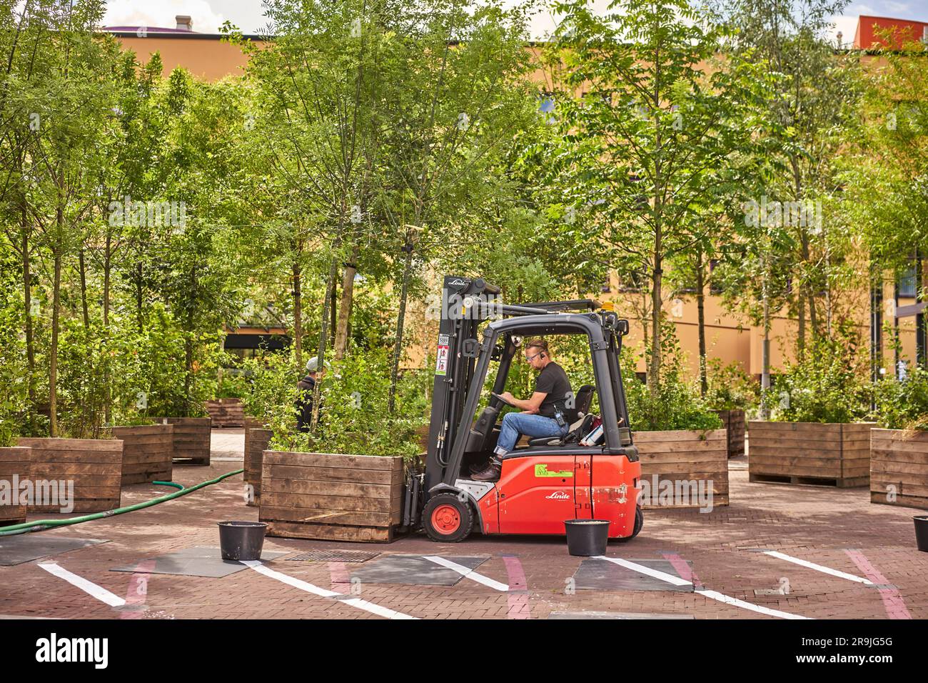 Bosk was part of the Arcadia Programme; a 100-day cultural programme ...