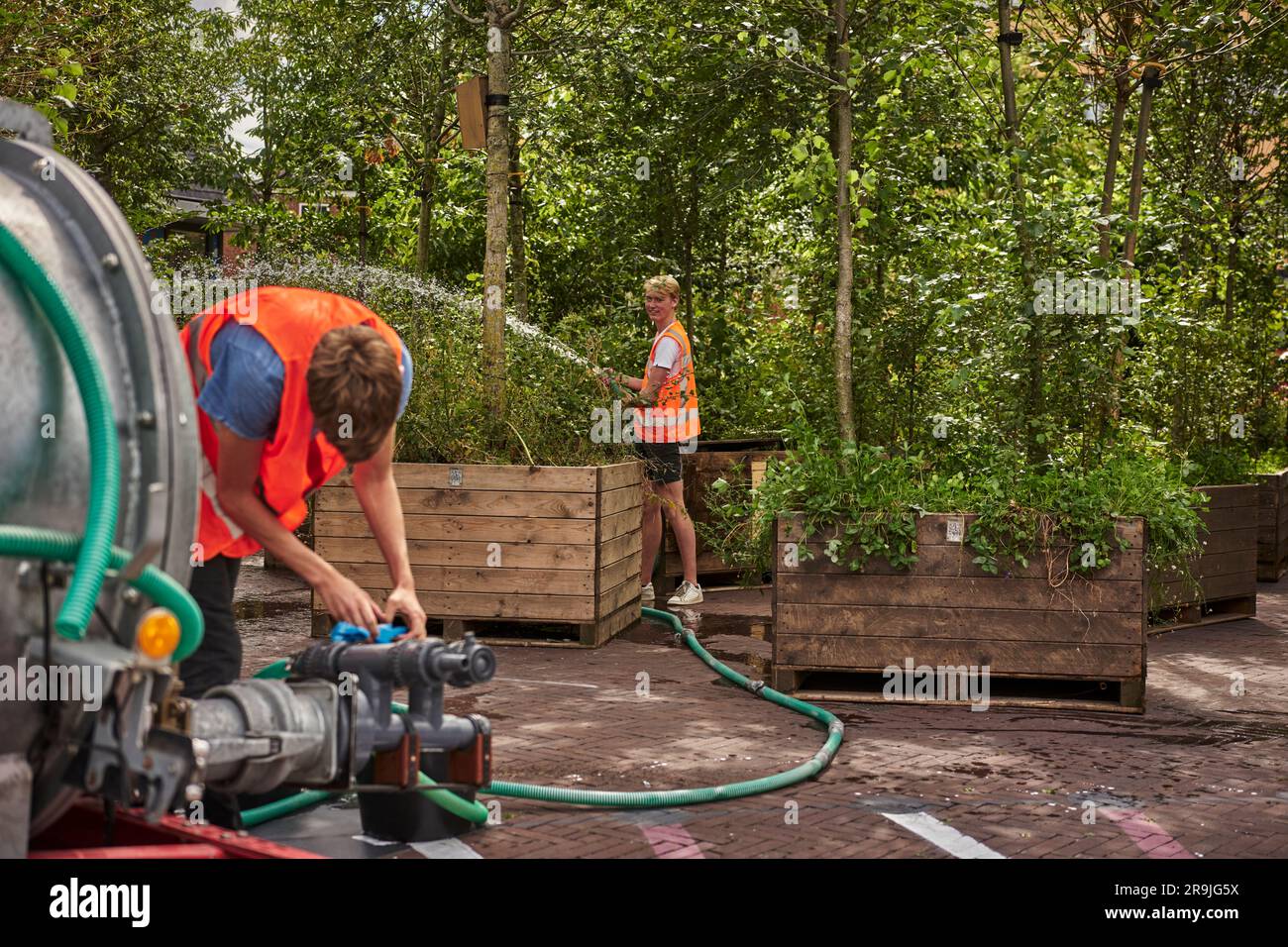 Bosk was part of the Arcadia Programme; a 100-day cultural programme ...