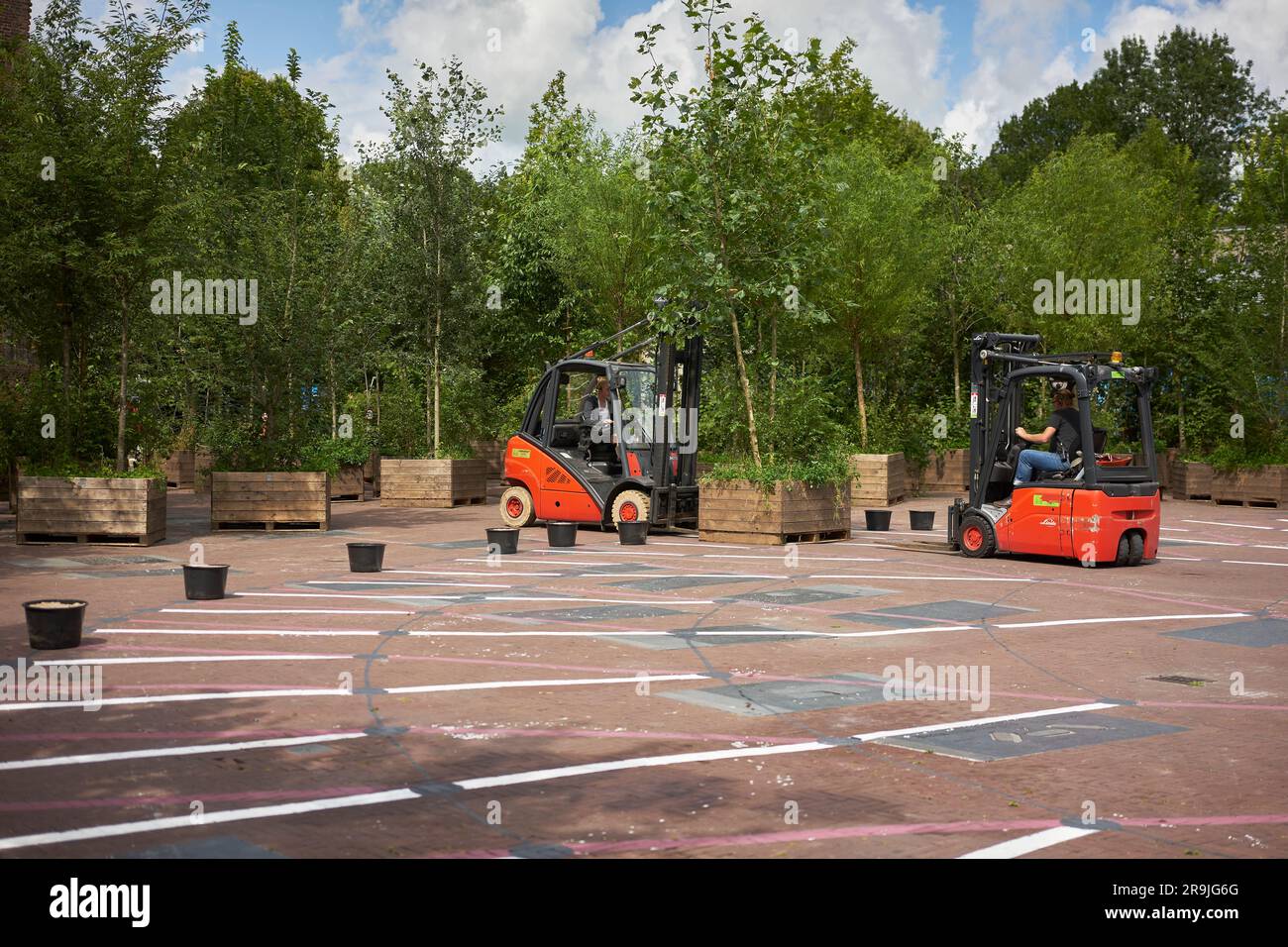 Bosk was part of the Arcadia Programme; a 100-day cultural programme ...