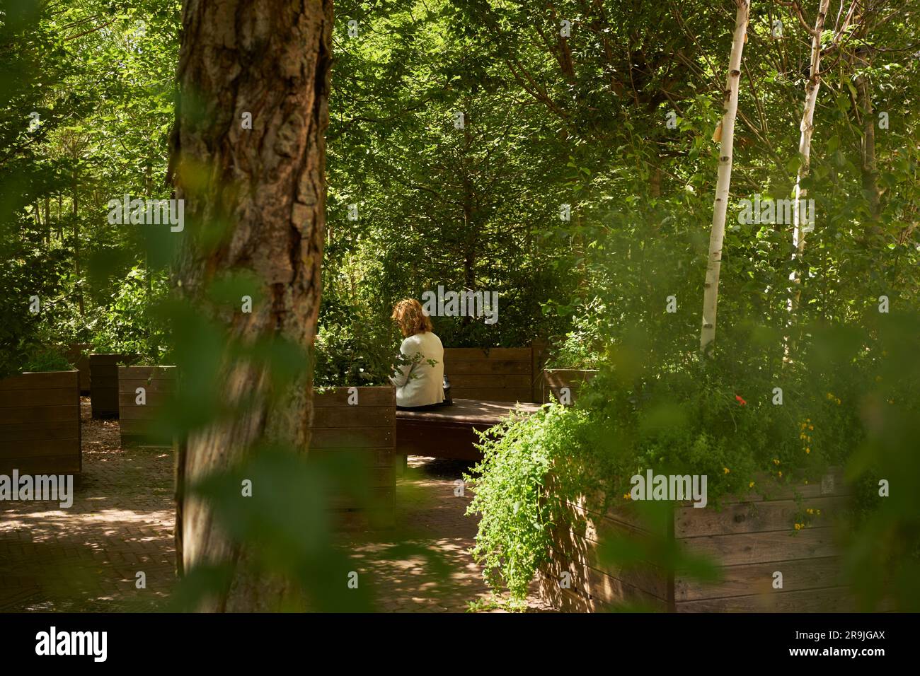 Bosk was part of the Arcadia Programme; a 100-day cultural programme ...