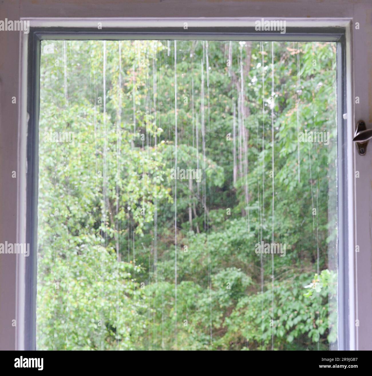 Rainstorm outside the window Stock Photo - Alamy
