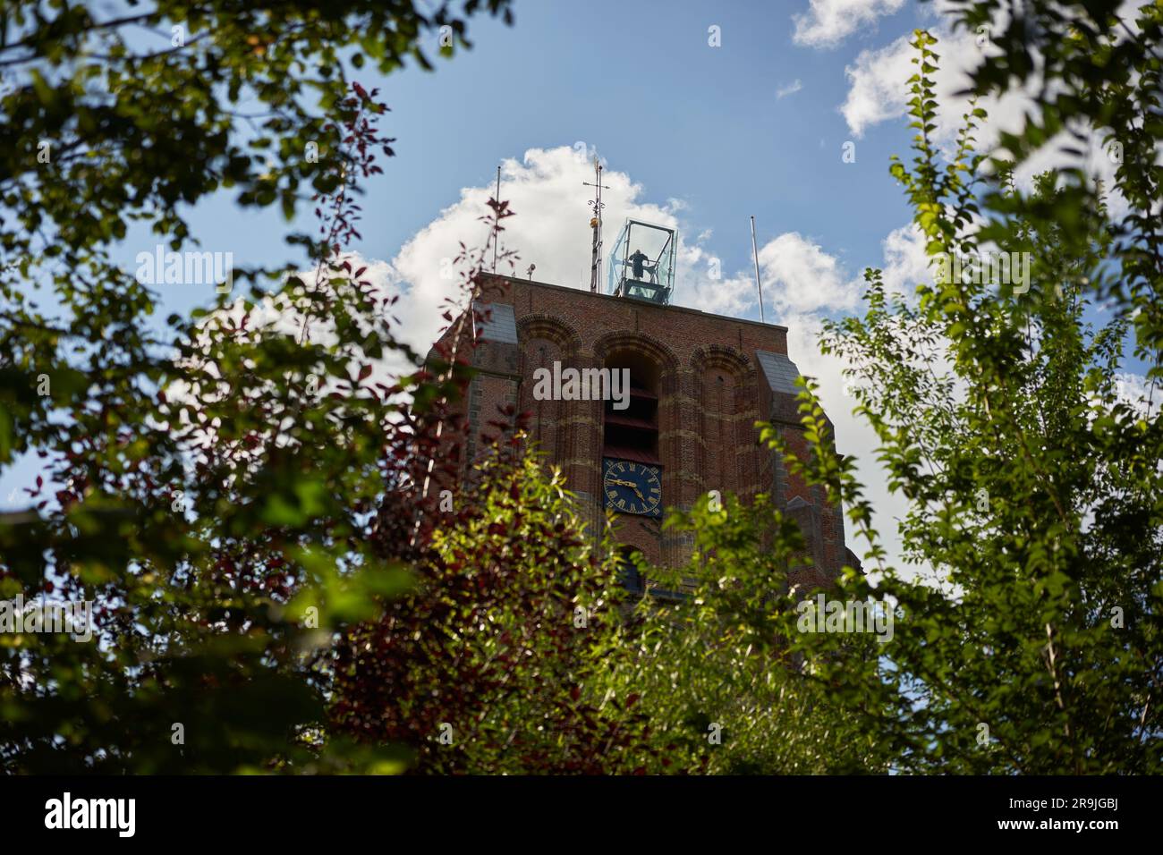 Bosk was part of the Arcadia Programme; a 100-day cultural programme ...