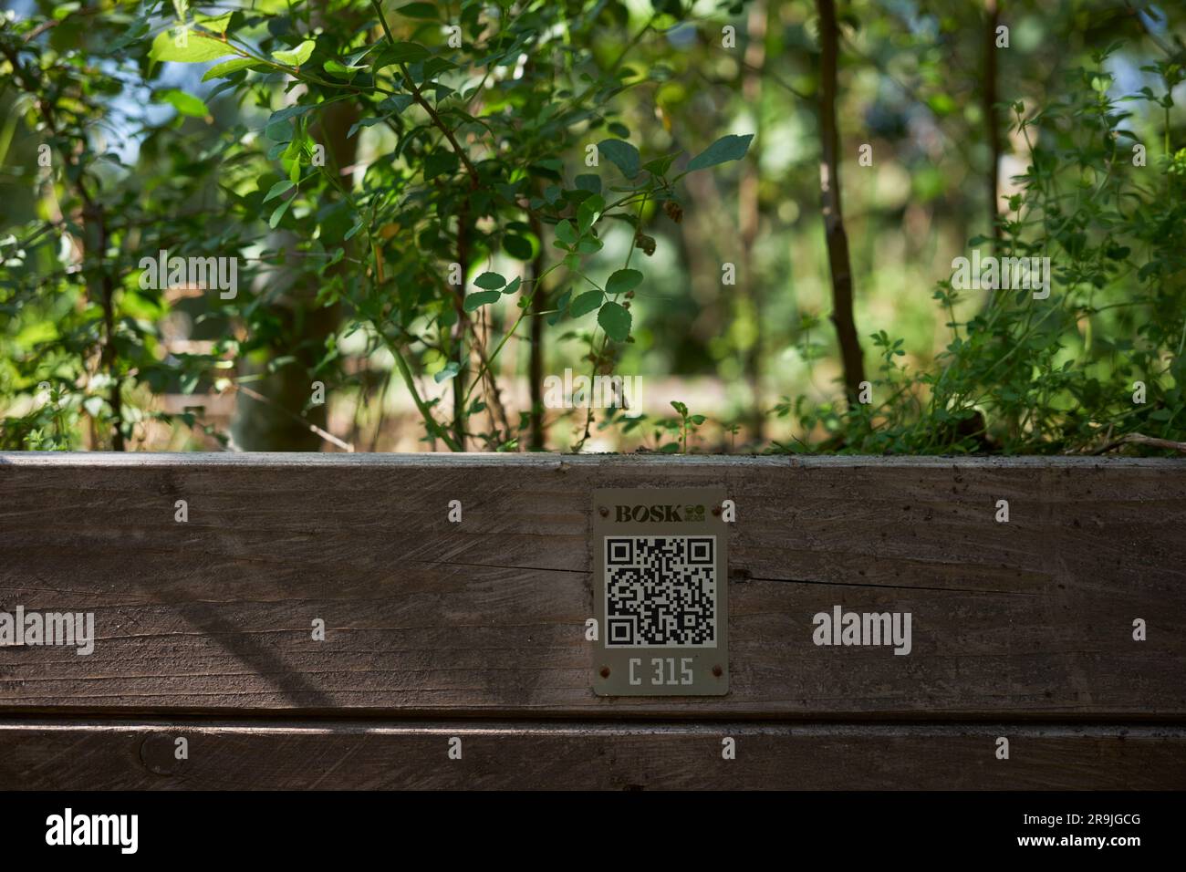 Bosk was part of the Arcadia Programme; a 100-day cultural programme ...