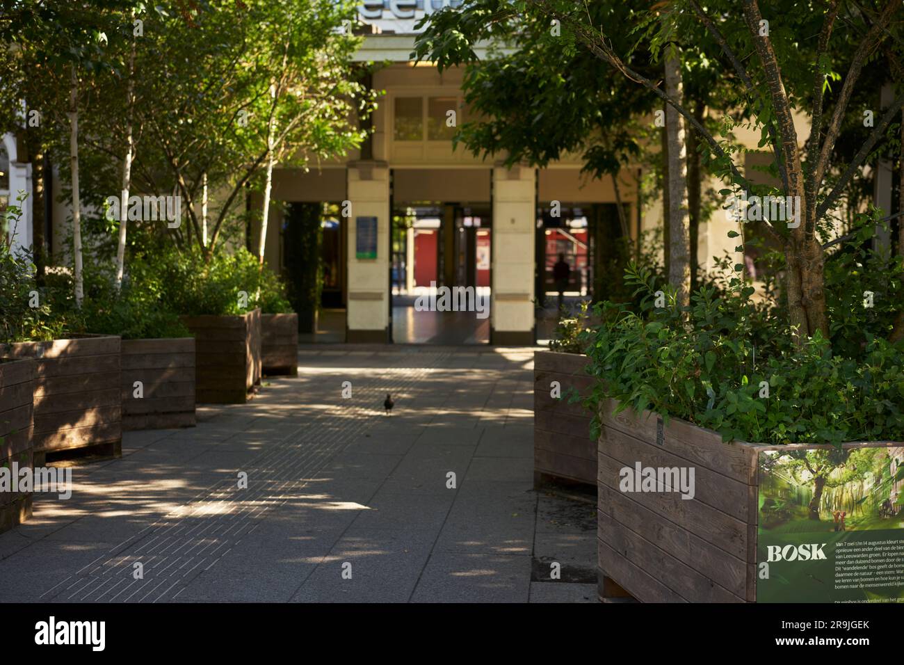 Bosk was part of the Arcadia Programme; a 100-day cultural programme ...