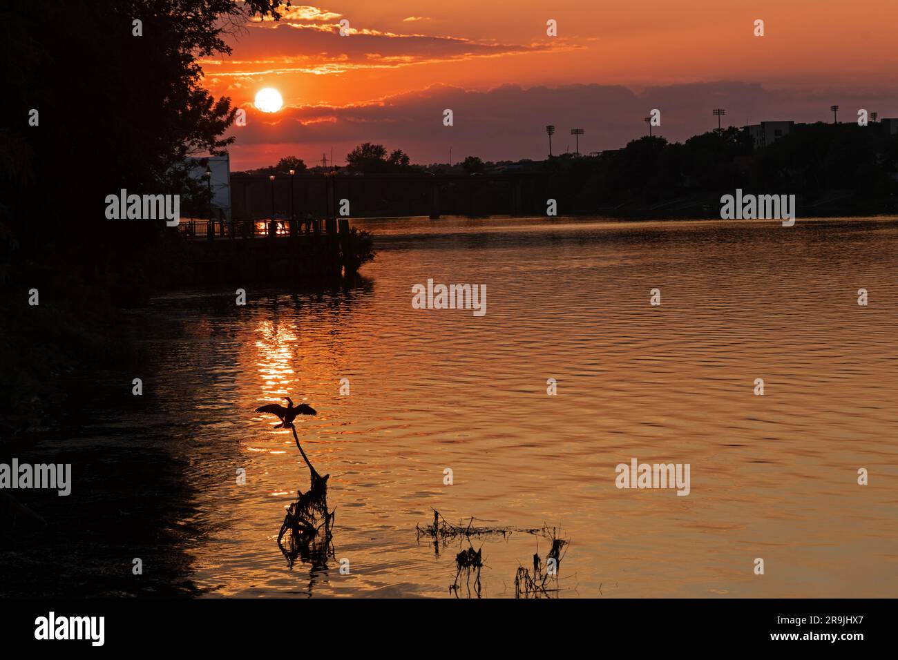 Savannah river in Augusta in sunset Stock Photo - Alamy