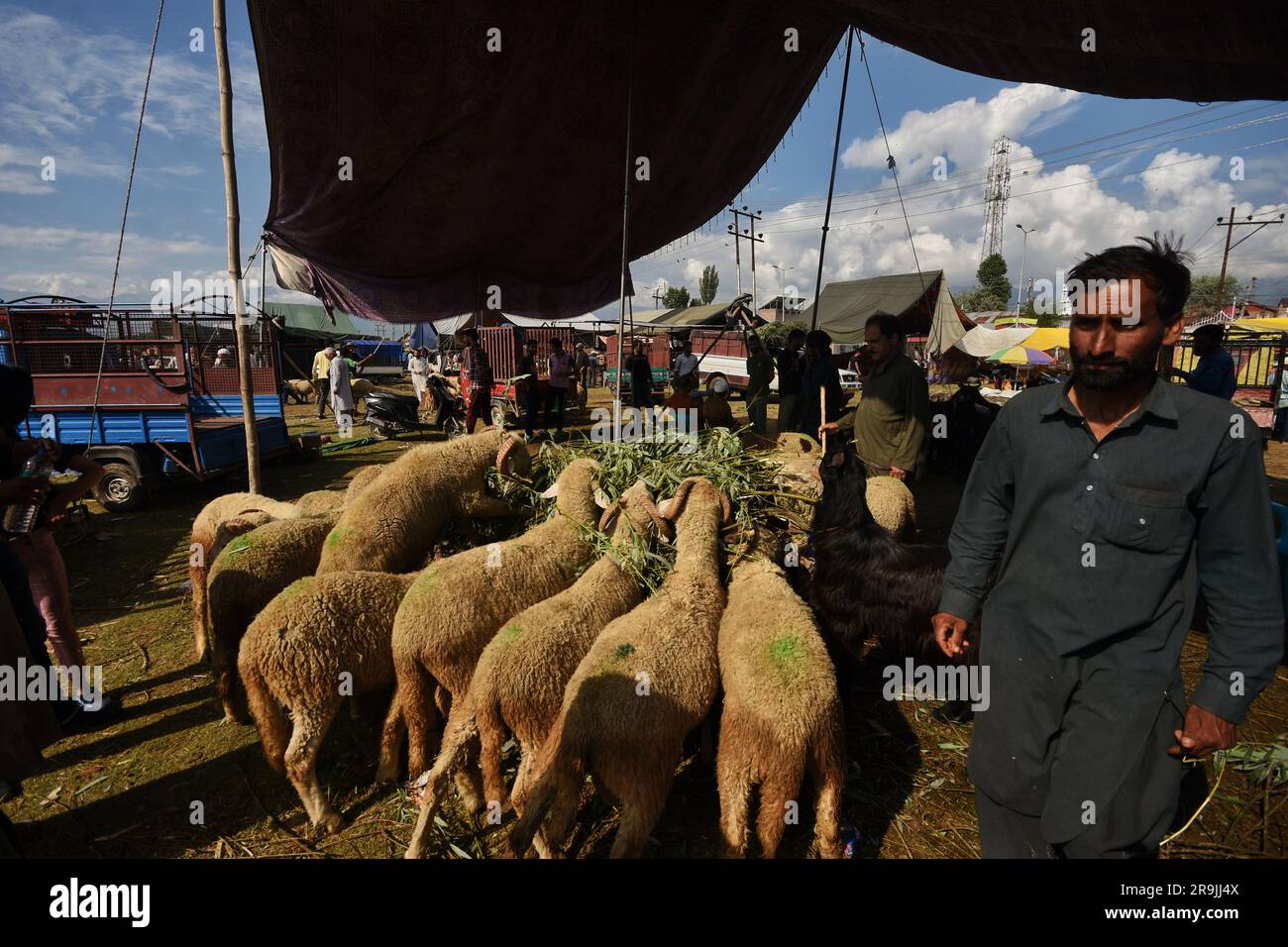 Srinagar, India. 27th June, 2023. Kashmiri Muslims gather at a ...