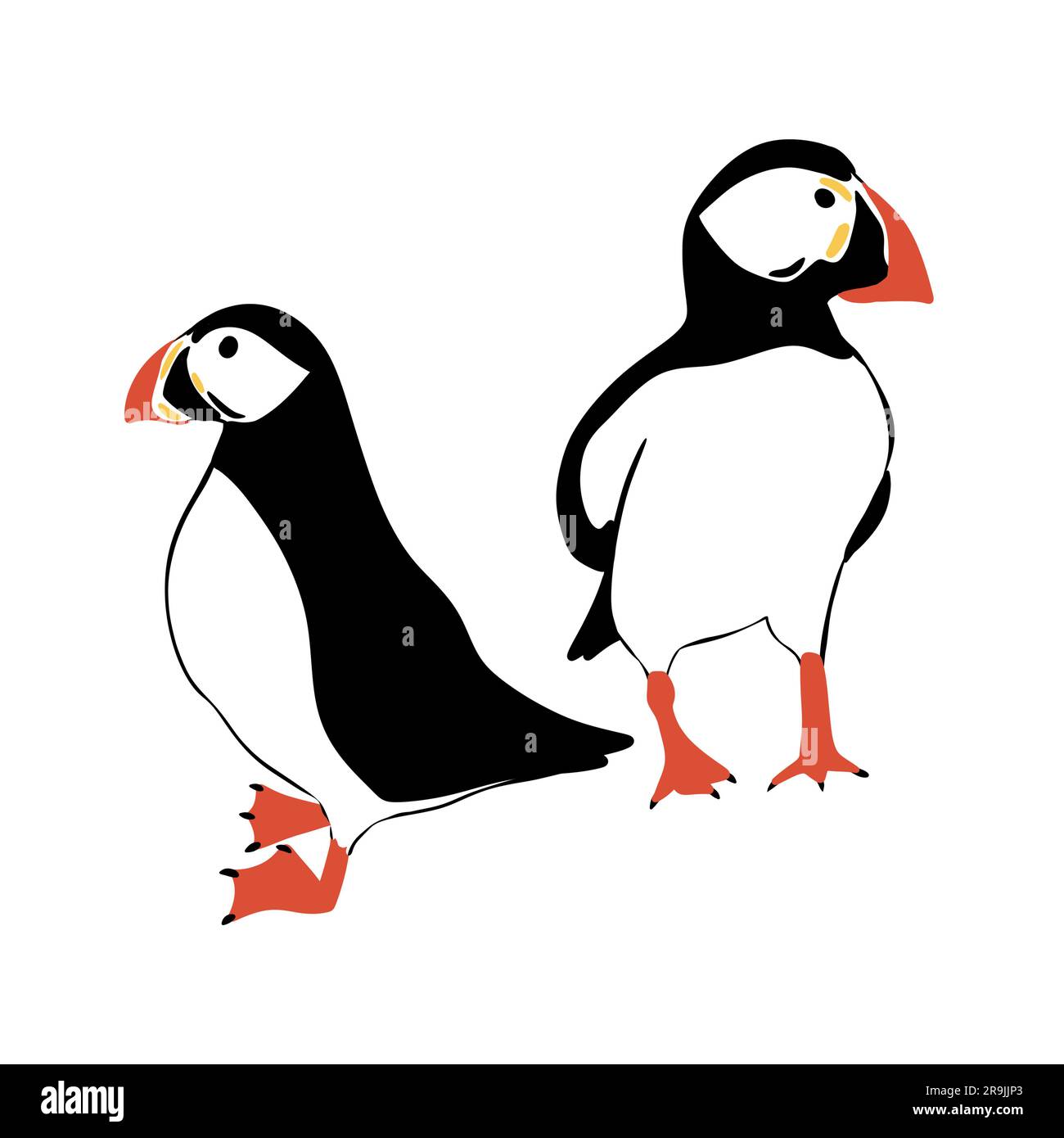 Hand drawn illustration of puffin bird in black white orange. Natural ...