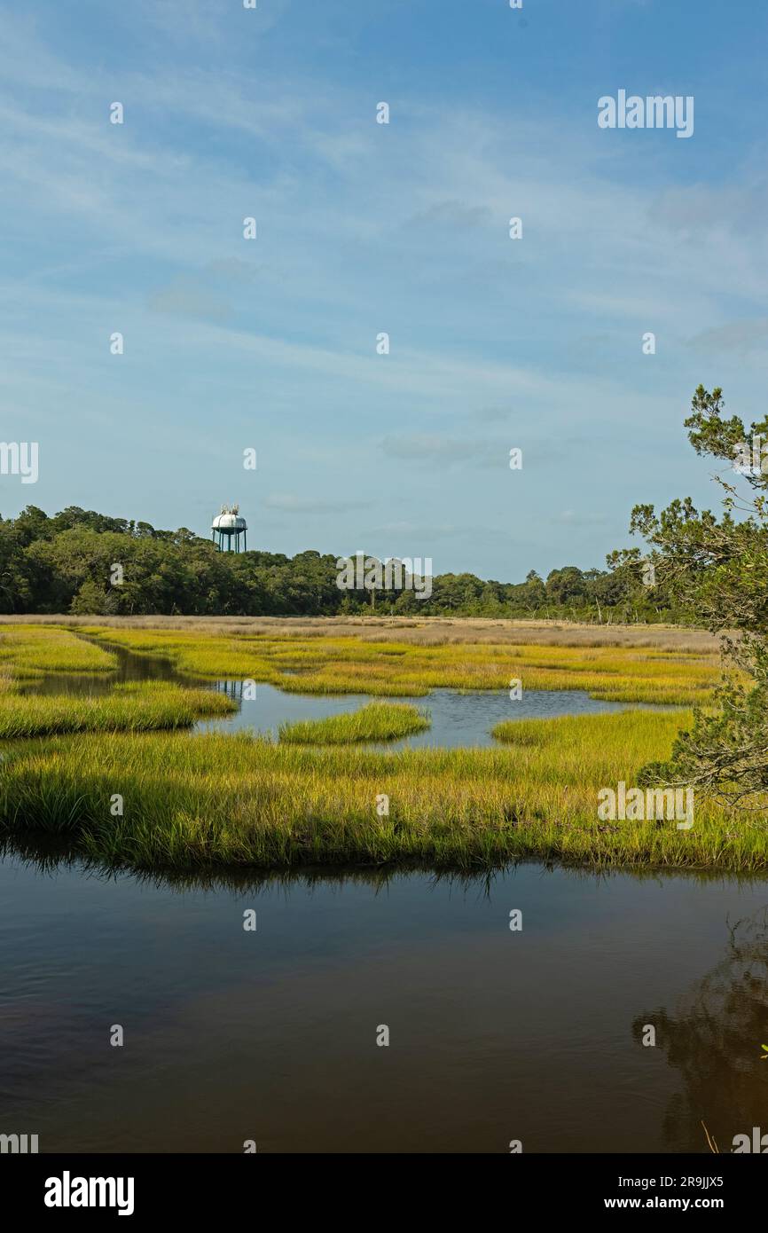 Georgia coastal marsh hi-res stock photography and images - Alamy